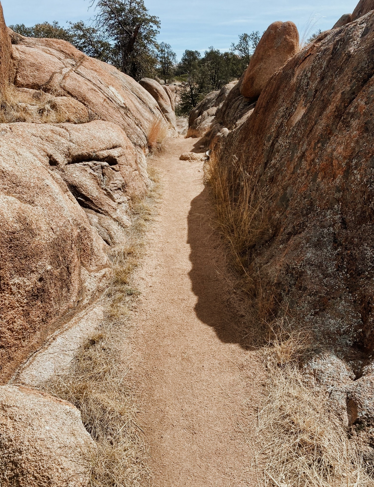 7 Kid Friendly Hiking Trails in Prescott Az That Are Worth the Trek