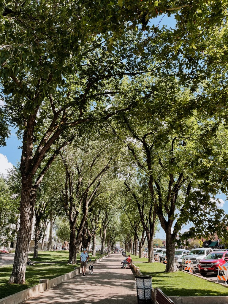 The Courthouse Square of Prescott, AZ
