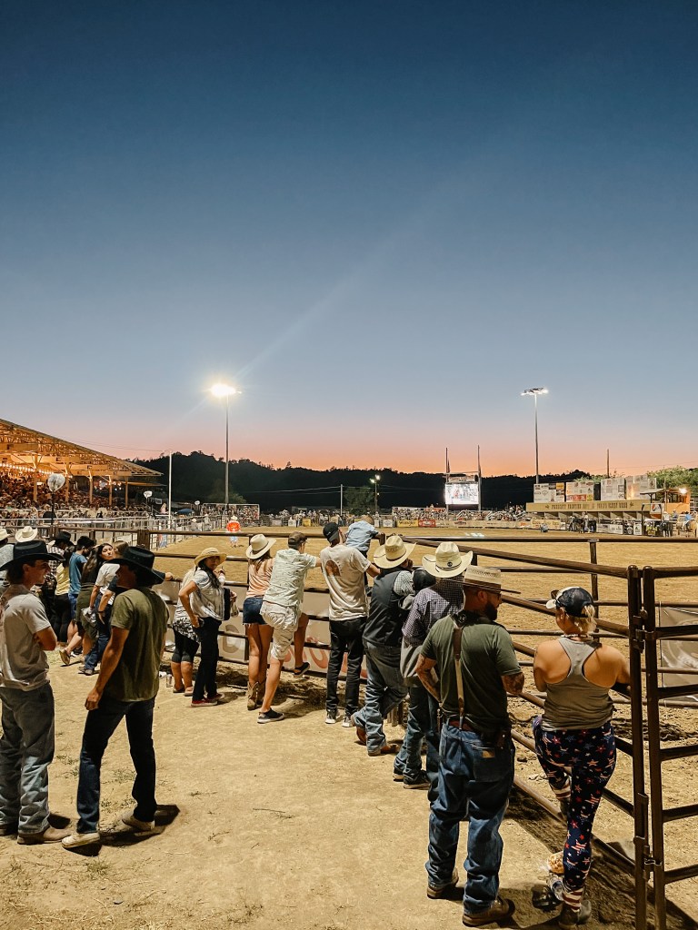 World’s Oldest Rodeo & Prescott Frontier Days Information | 4th of July ...